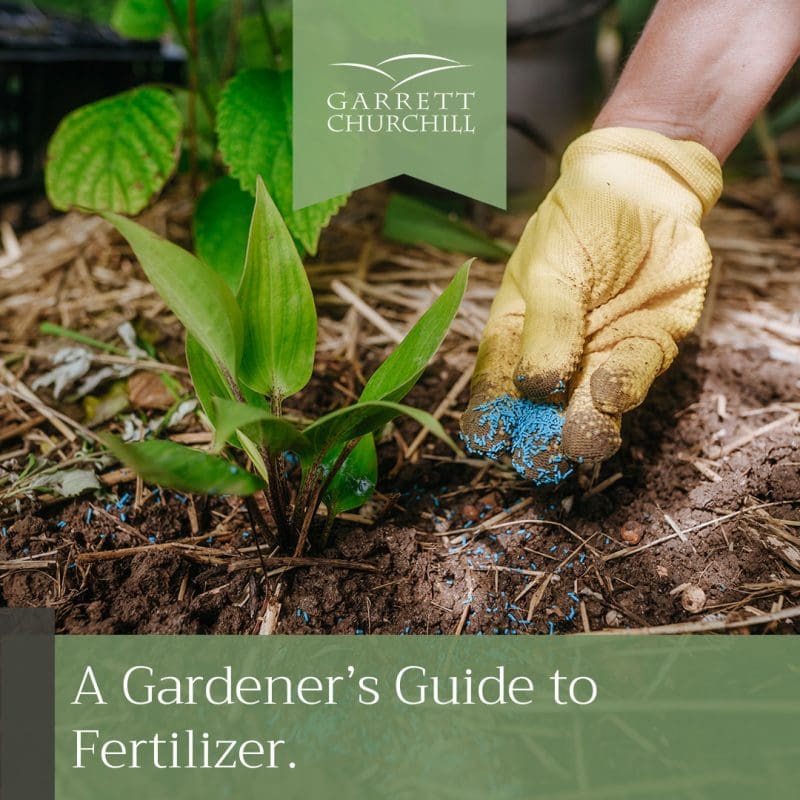 A Gardener’s Guide to Fertilizer