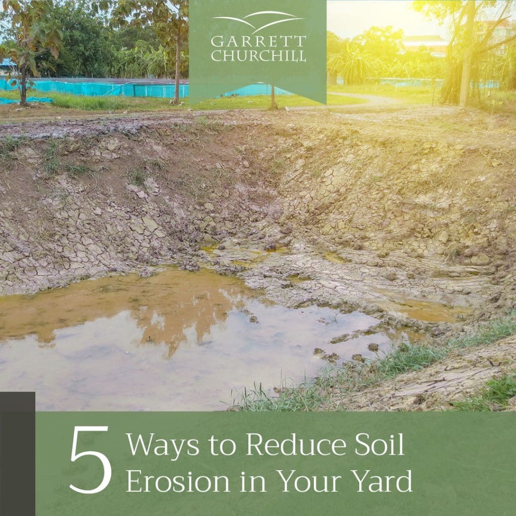 5 Ways to Reduce Soil Erosion in Your Yard