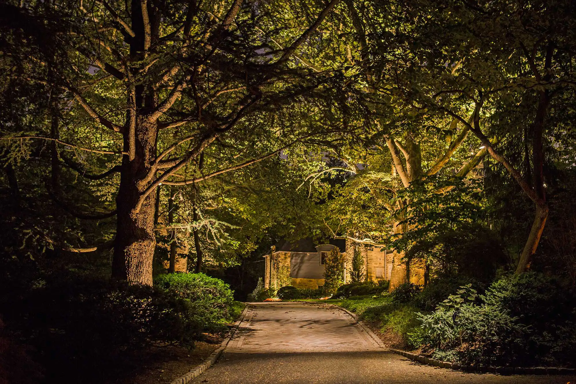 Expect the Best From Your Glenside, PA Landscaping Services Company